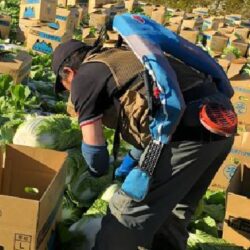 Exoskeletons Lift Assist Suits - Materials Handling